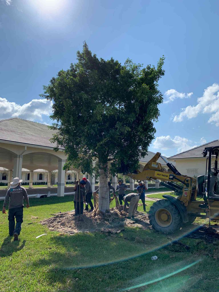 #1 Landscape Company In Wellington, FL & Palm Beach, FL | South Florida ...