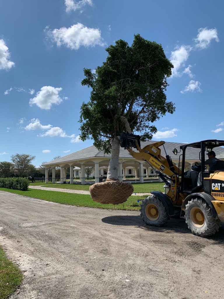 #1 Lawn & Landscaping Company In Wellington, FL Palm Beach, FL | South ...