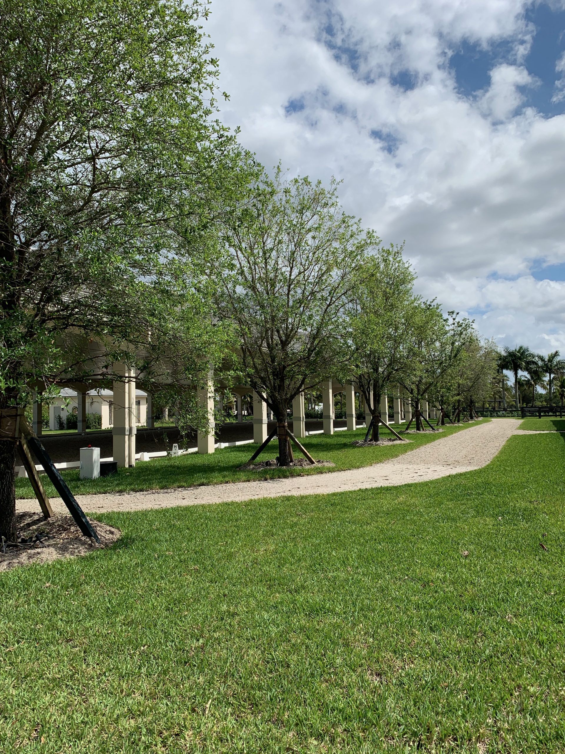 » Portfolio | #1 Landscape Company In Wellington, FL & Palm Beach, FL
