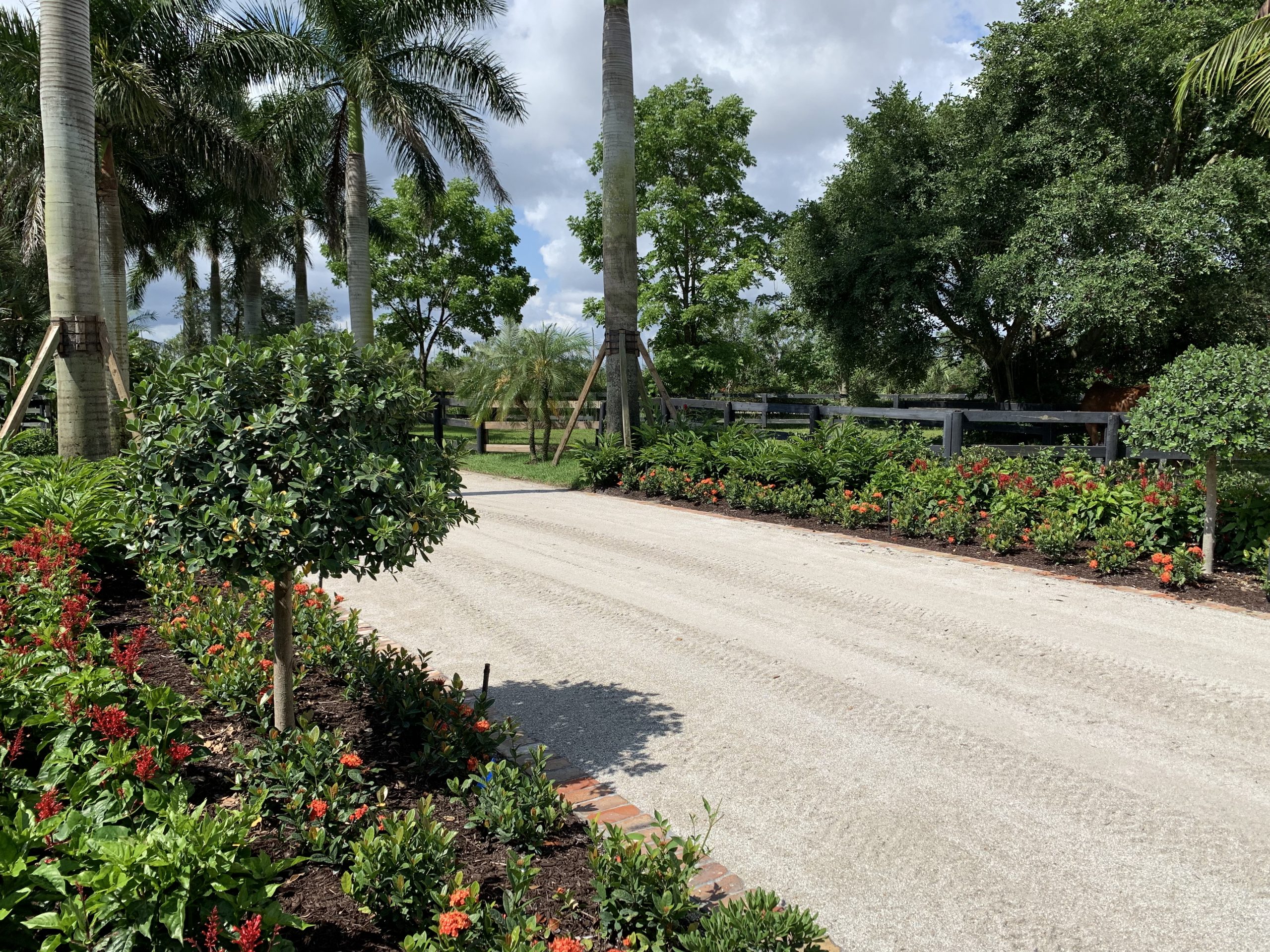 » Portfolio | Landscape Company In Wellington, FL & Palm Beach, FL