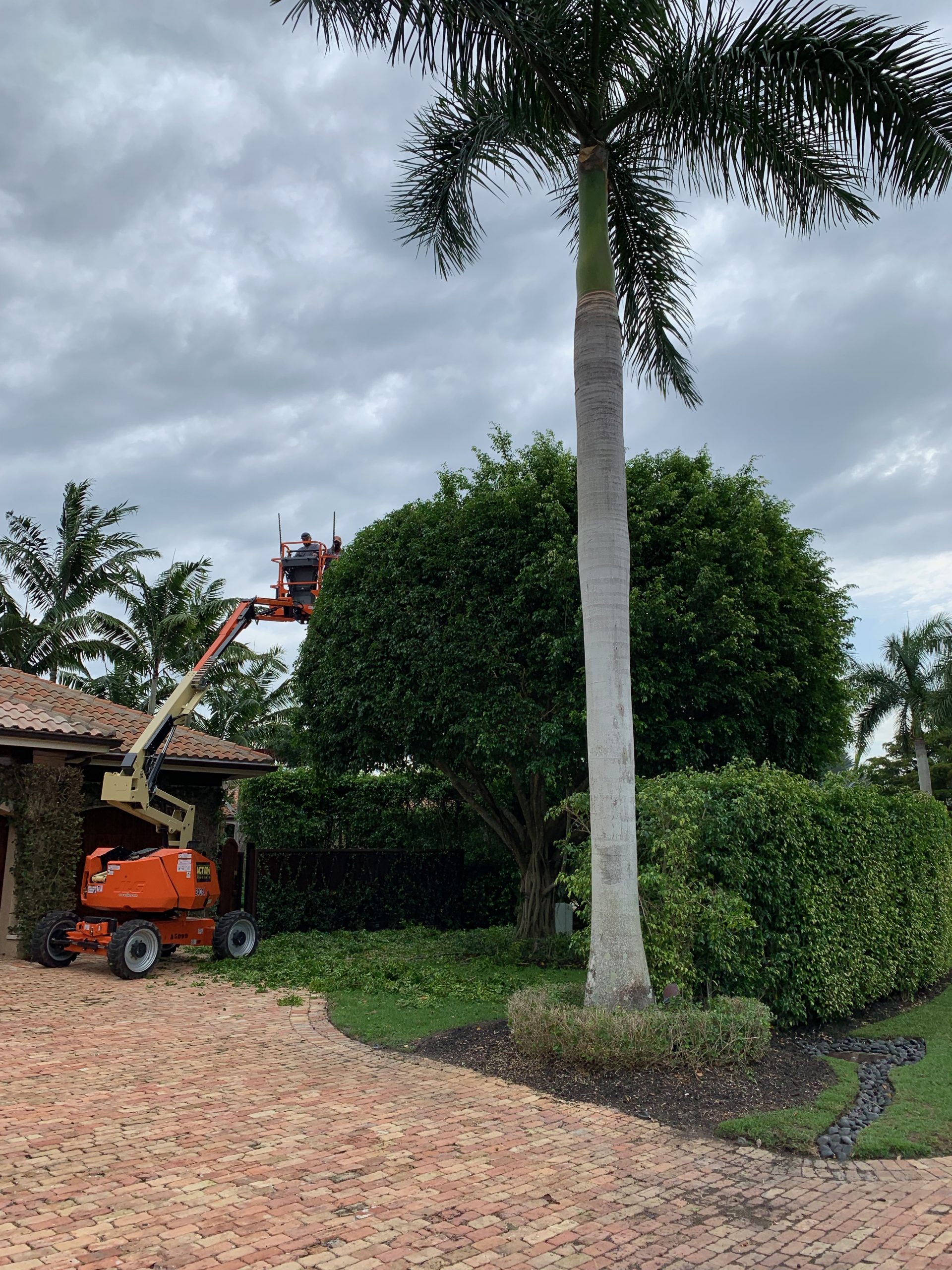 » Portfolio | #1 Landscape Company In Wellington, FL & Palm Beach, FL