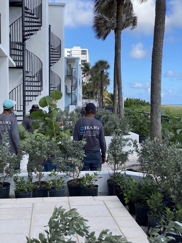 #1 Lawn & Landscaping Company In Wellington, FL Palm Beach, FL | South ...
