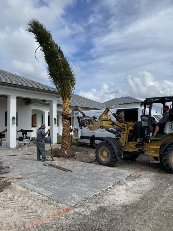 #1 Lawn & Landscaping Company In Wellington, FL Palm Beach, FL | South ...
