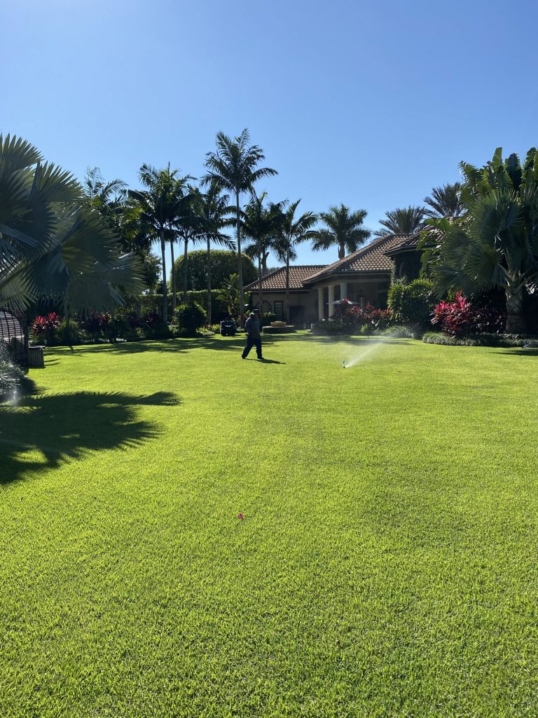 Landscape Company In Wellington, FL & Palm Beach, FL | South Florida ...