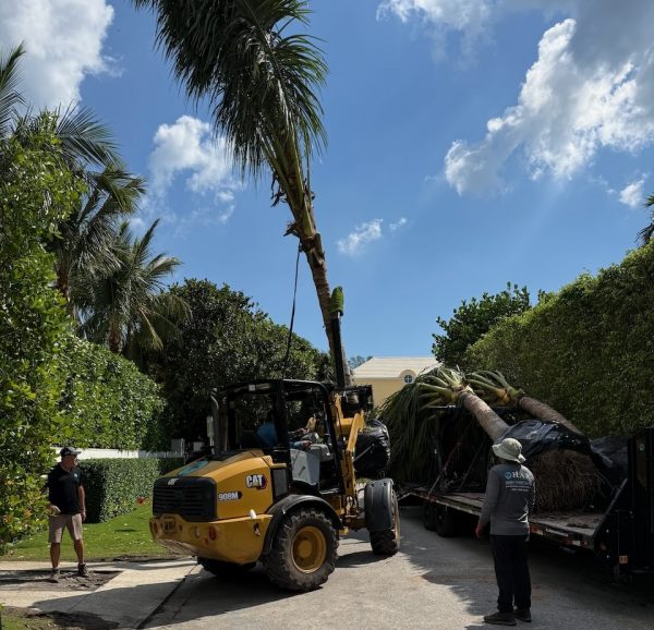 Landscape Company In Wellington, FL & Palm Beach, FL | South Florida ...